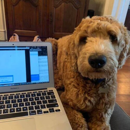 Louie Attorney at Paw | New Orleans Personal Injury Law Firm