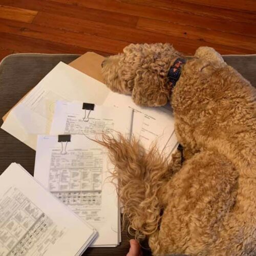 Louie Attorney at Paw | New Orleans Personal Injury Law Firm