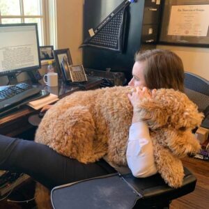 Louie Attorney at Paw | New Orleans Personal Injury Law Firm