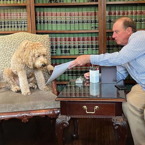Louie Attorney at Paw | New Orleans Personal Injury Law Firm